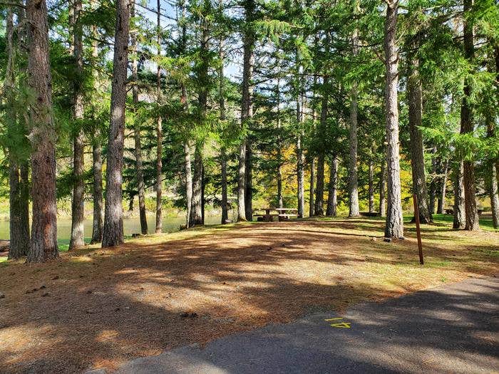 COE Dorena Reservoir Schwarz Campground | Cottage Grove, Oregon