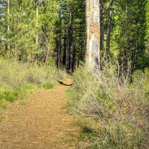 Big River Campground Camping | The Dyrt