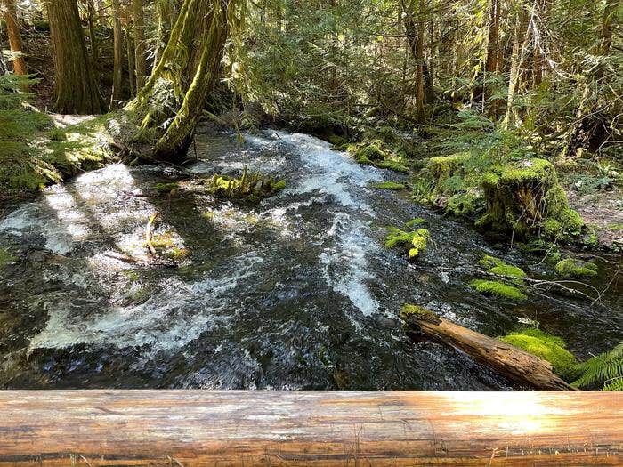 Indigo Springs — Willamette National Forest Camping | Clearwater, OR