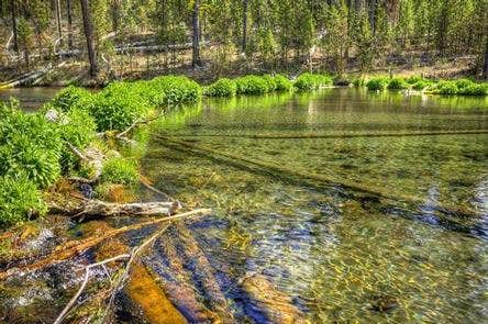Fall River Campground | Bend, OR