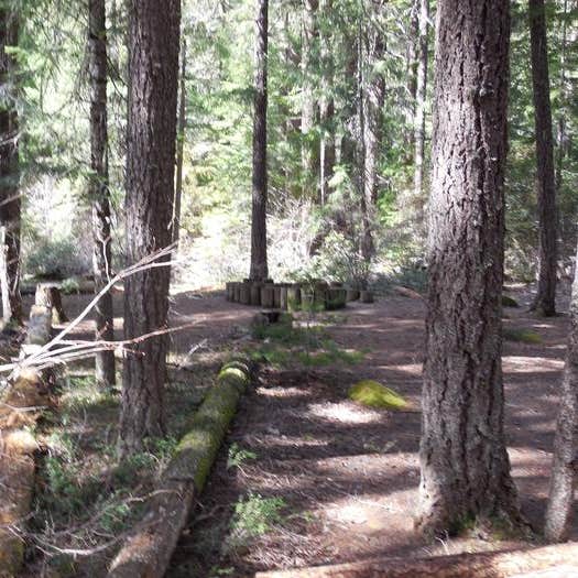 Farewell Bend Campground Camping | The Dyrt