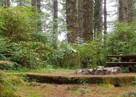 Hebo Lake Campground Camping | The Dyrt