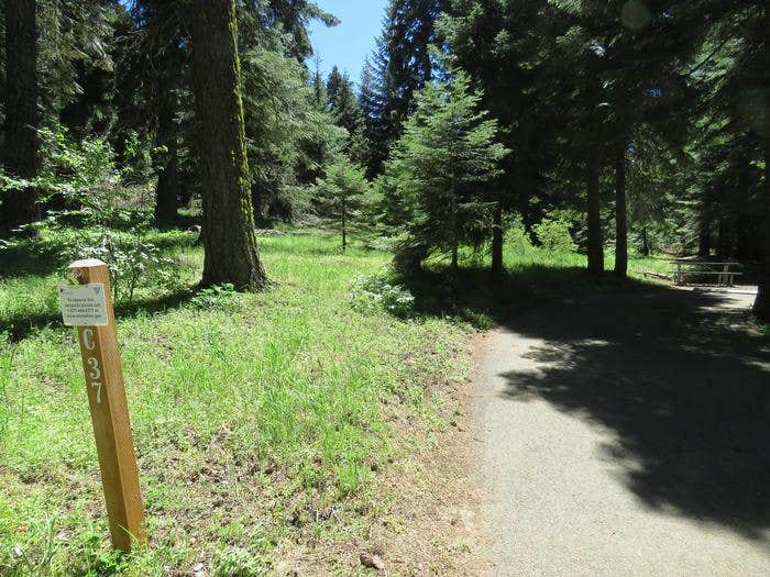Hyatt Lake Recreation Area Camping | Ashland, OR