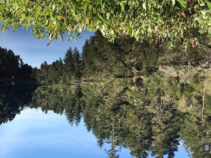Lagoon Campground | Florence, OR