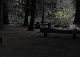 Limberlost Campground Camping | The Dyrt