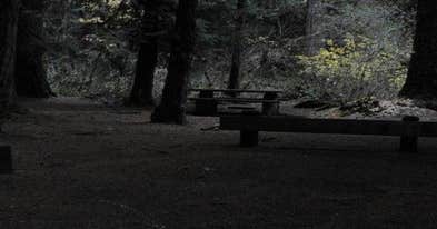 Limberlost Campground | Mckenzie Bridge, Oregon
