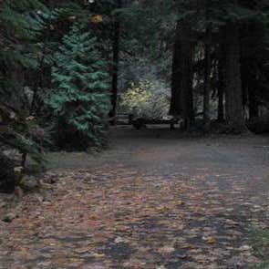 Limberlost Campground Camping | The Dyrt