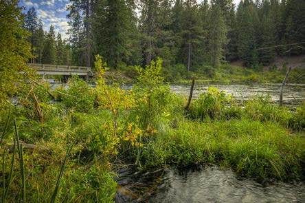 Perry South Campground | Culver, OR