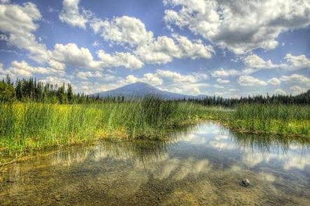 Mallard Marsh Campground | Bend, OR