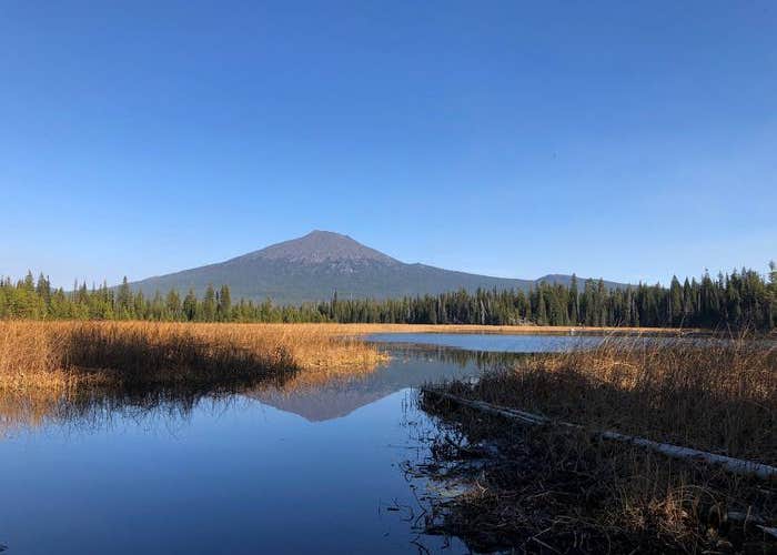Mallard Marsh Campground Camping | The Dyrt