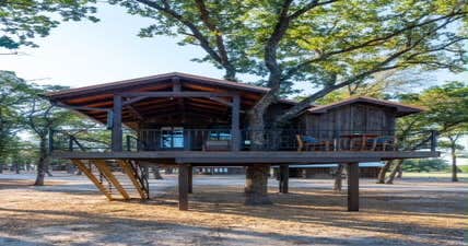 The Blue Jay Treehouse 15MIN to Magnolia & Baylor Camping | Waco, Texas