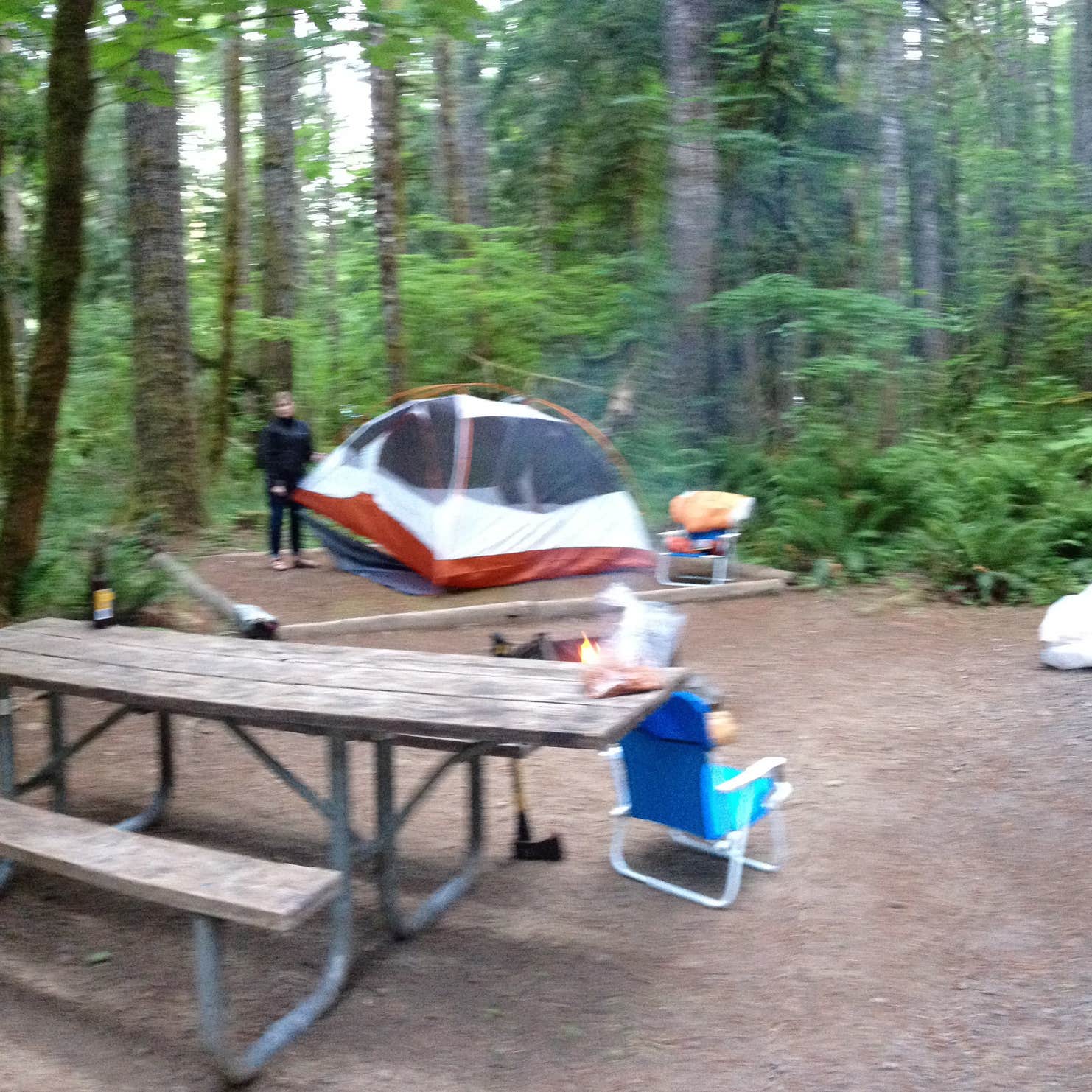 Panther Creek Campground Camping | The Dyrt
