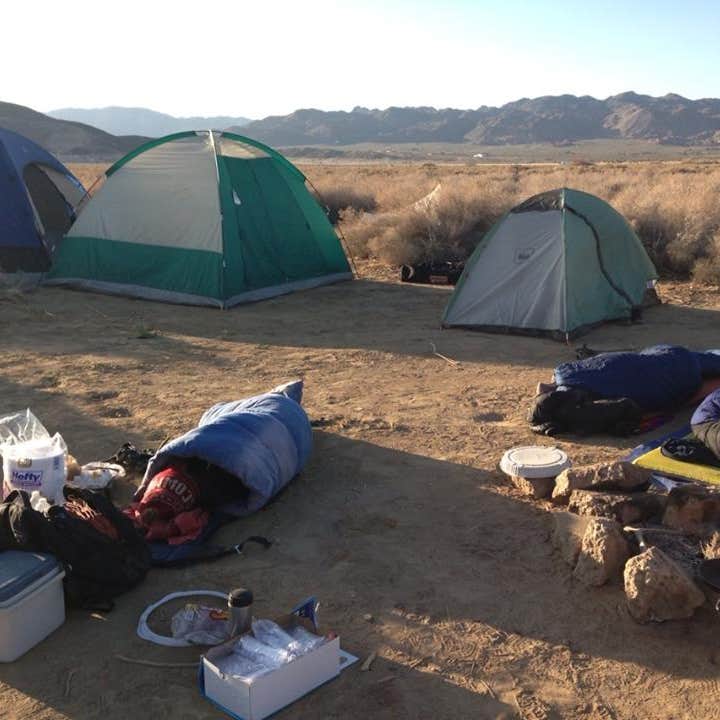 Joshua Tree South - BLM Dispersed Camping | The Dyrt