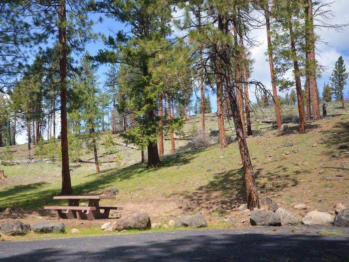 Perry South Campground Camping | The Dyrt