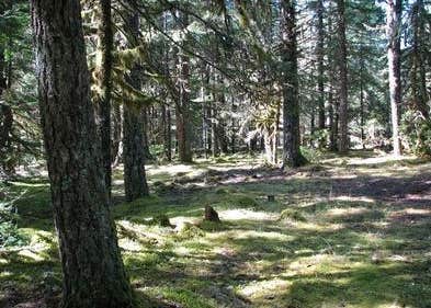 Riley Horse Campground Camping | The Dyrt