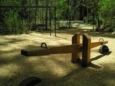 Mineral Forest Camp | Dorena, Oregon