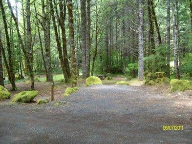 Sunnyside Campground | Blue river, OR