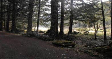 Sunnyside Campground Camping | Blue River, OR | The Dyrt