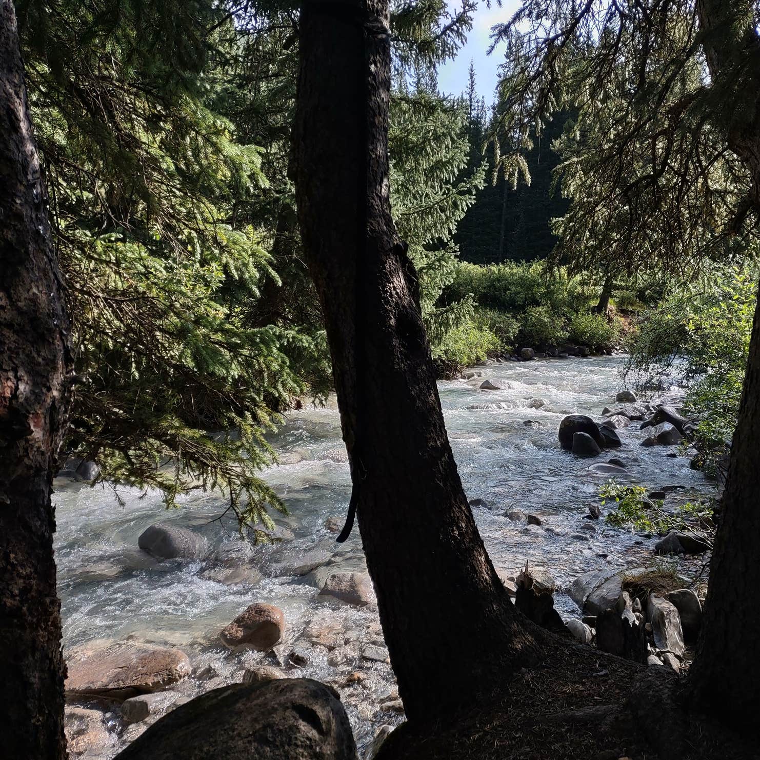 Peru Creek Designated Dispersed Camping | Montezuma, CO