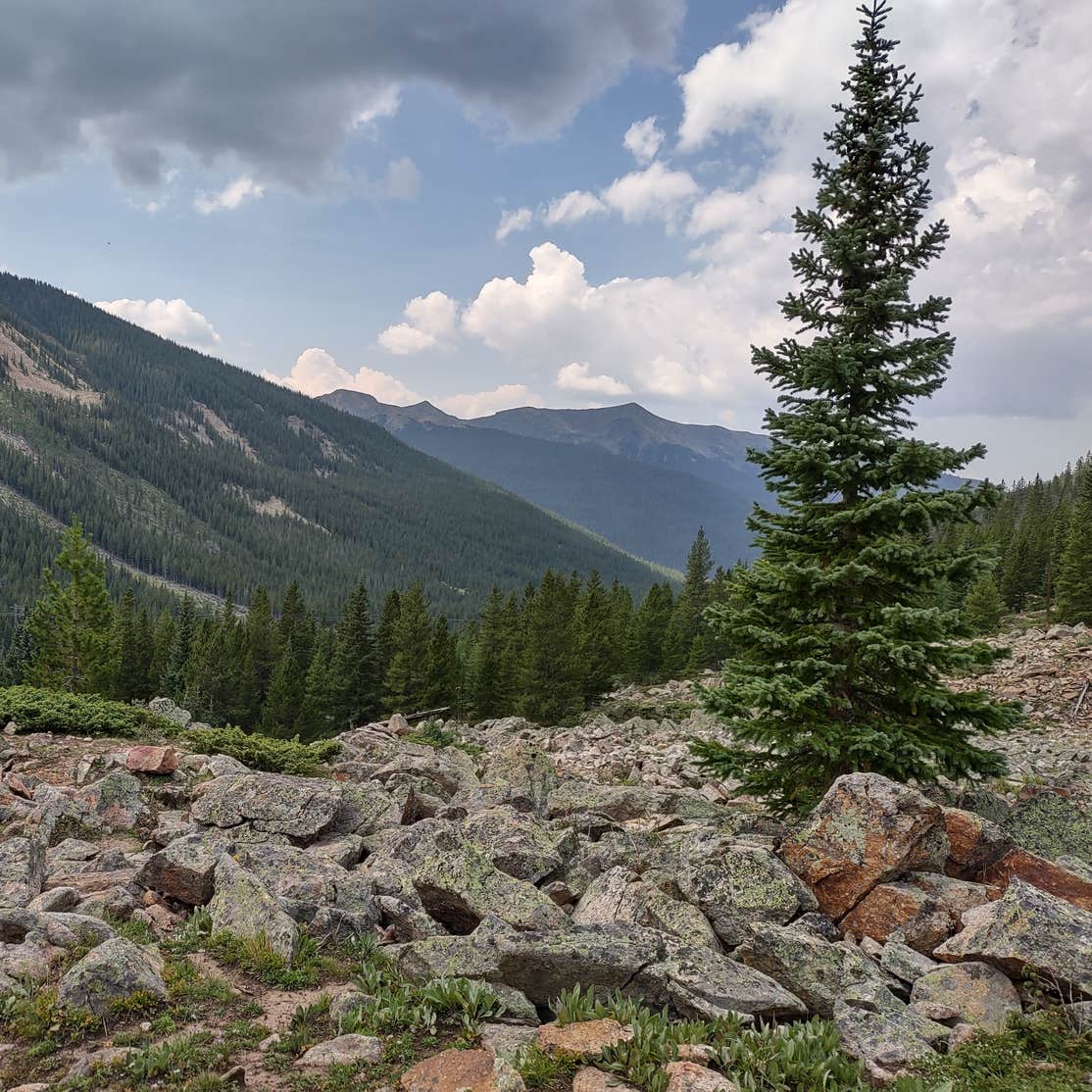 Peru Creek Designated Dispersed Camping | Montezuma, CO