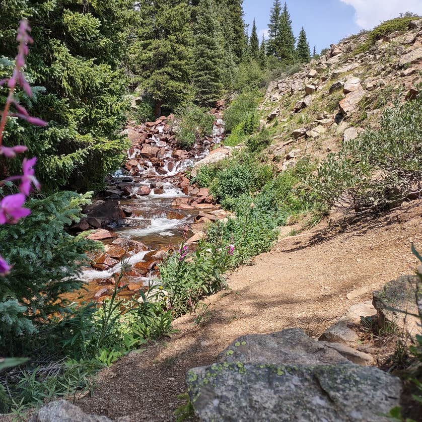 Peru Creek Designated Dispersed Camping | Montezuma, CO
