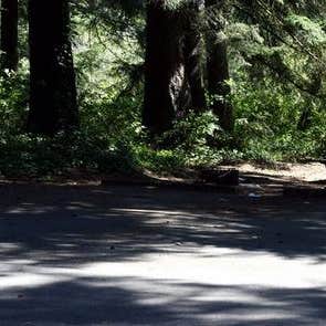 Tyee Campground Camping | The Dyrt