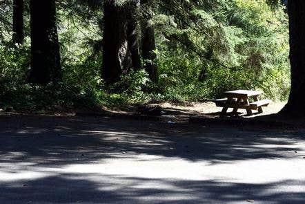 Tyee Campground | Dunes City, OR