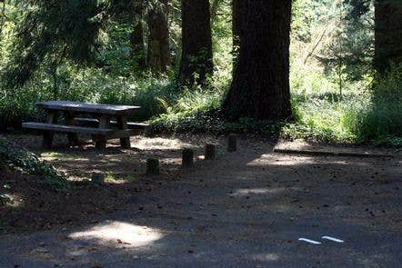 Tyee Campground | Dunes City, OR