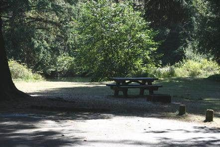 Tyee Campground | Dunes City, OR
