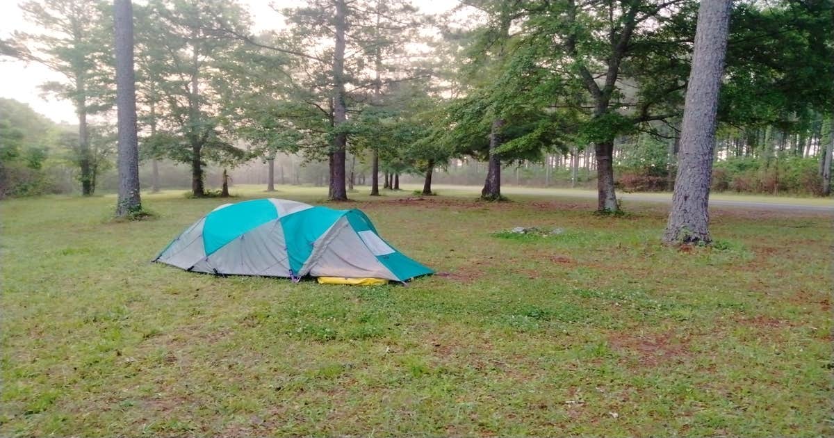 Ocmulgee WMA Camping | Perry, GA