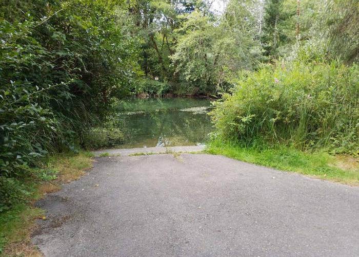 Tyee Campground Camping | The Dyrt