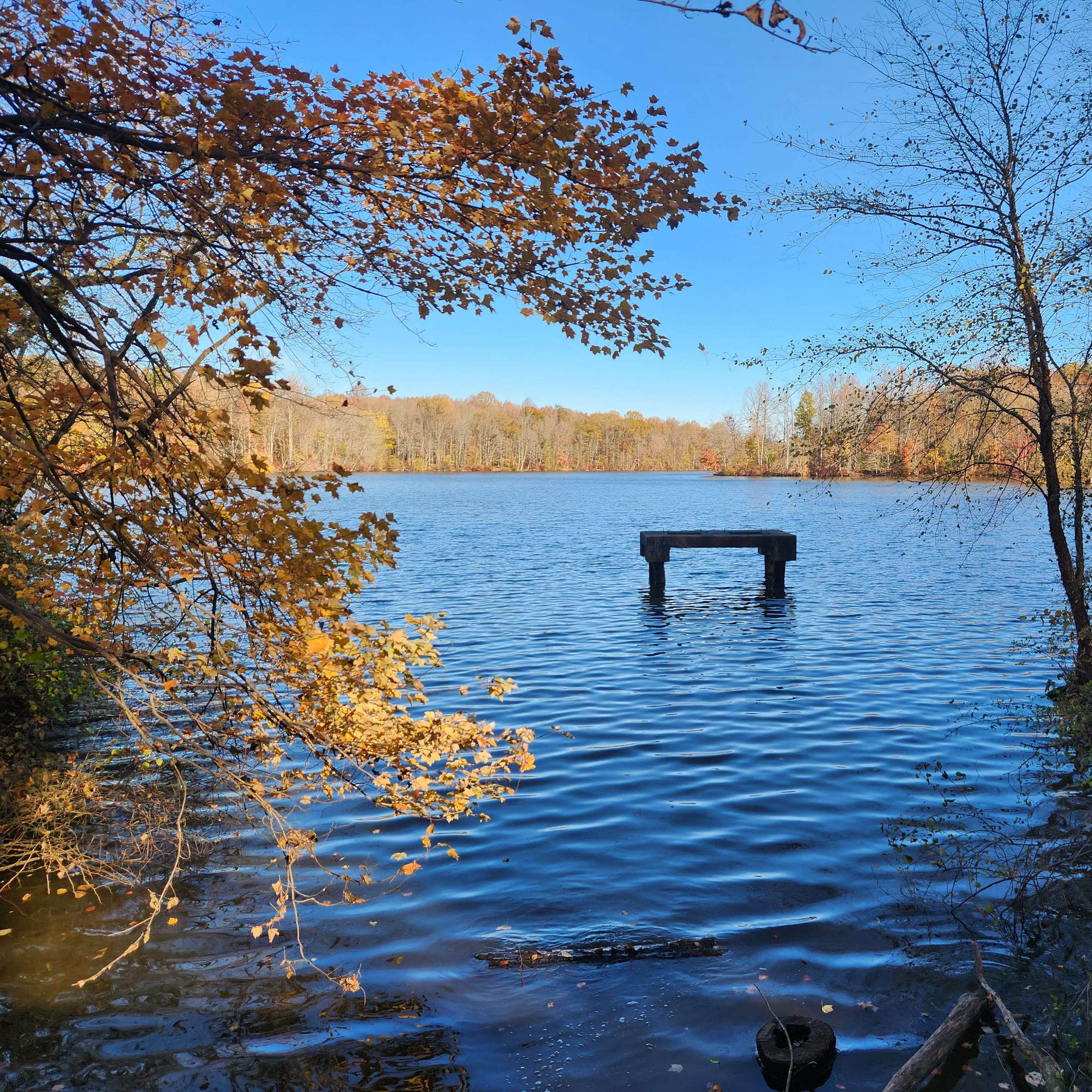 Lums Pond State Park Campground | Kirkwood, Delaware