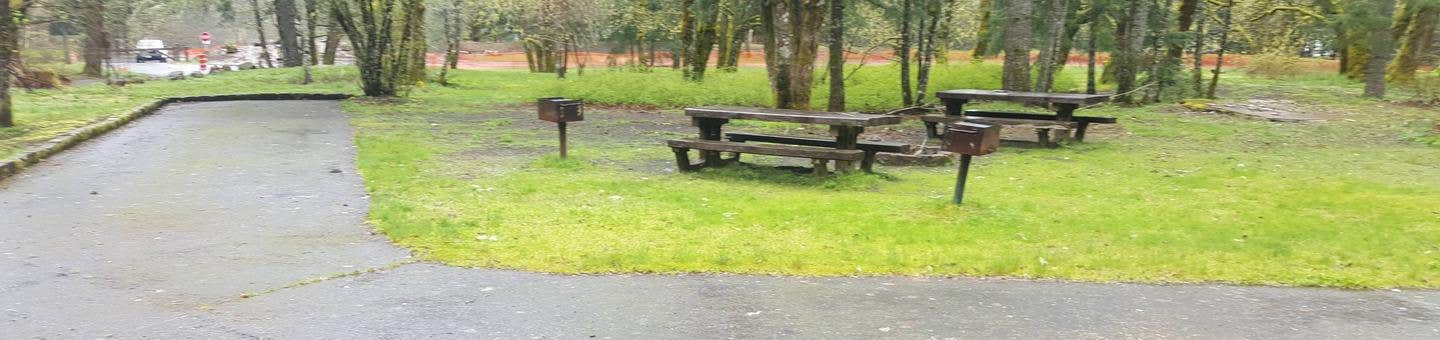 Wyeth Campground at the Gorge | Cascade Locks, OR