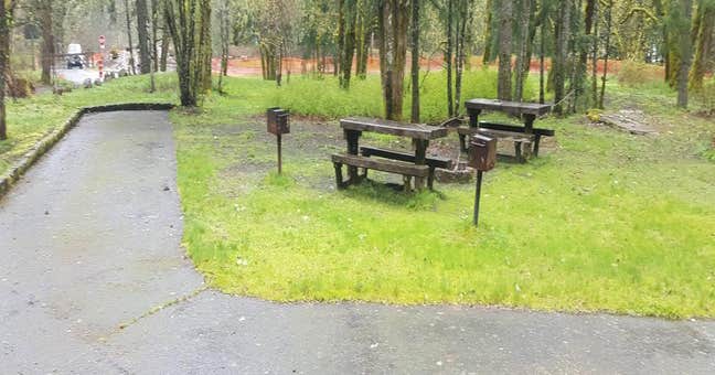 Wyeth Campground at the Gorge | Cascade Locks, OR