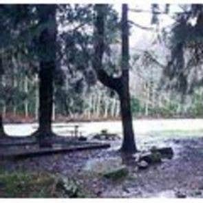 Red Bridge Recreation Area - Allegheny National Forest Camping | The Dyrt