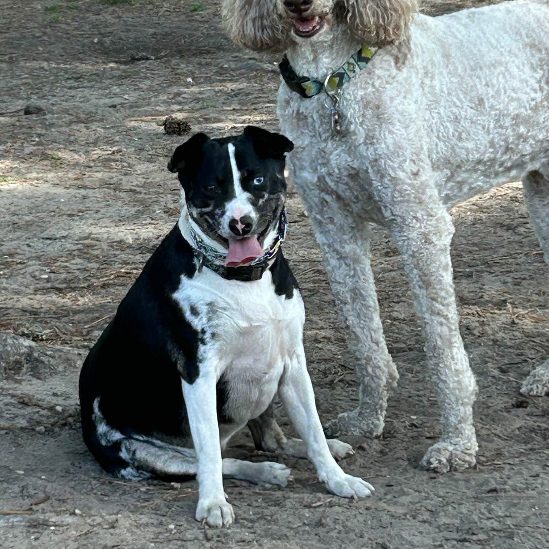 Brunswick Beaches RV Resort | Sunset Beach, North Carolina