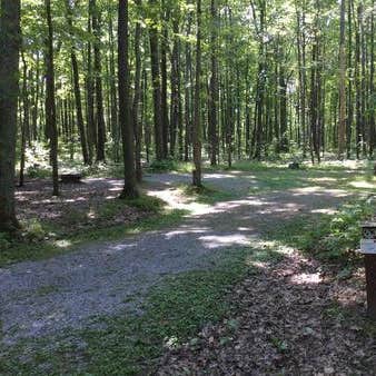 Tracy Ridge Camping | The Dyrt