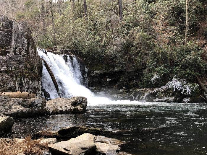 Abram's Creek Campground | The Dyrt