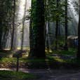 Great Smoky Mountains National Park Camping Guide