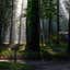 Great Smoky Mountains National Park Camping Guide