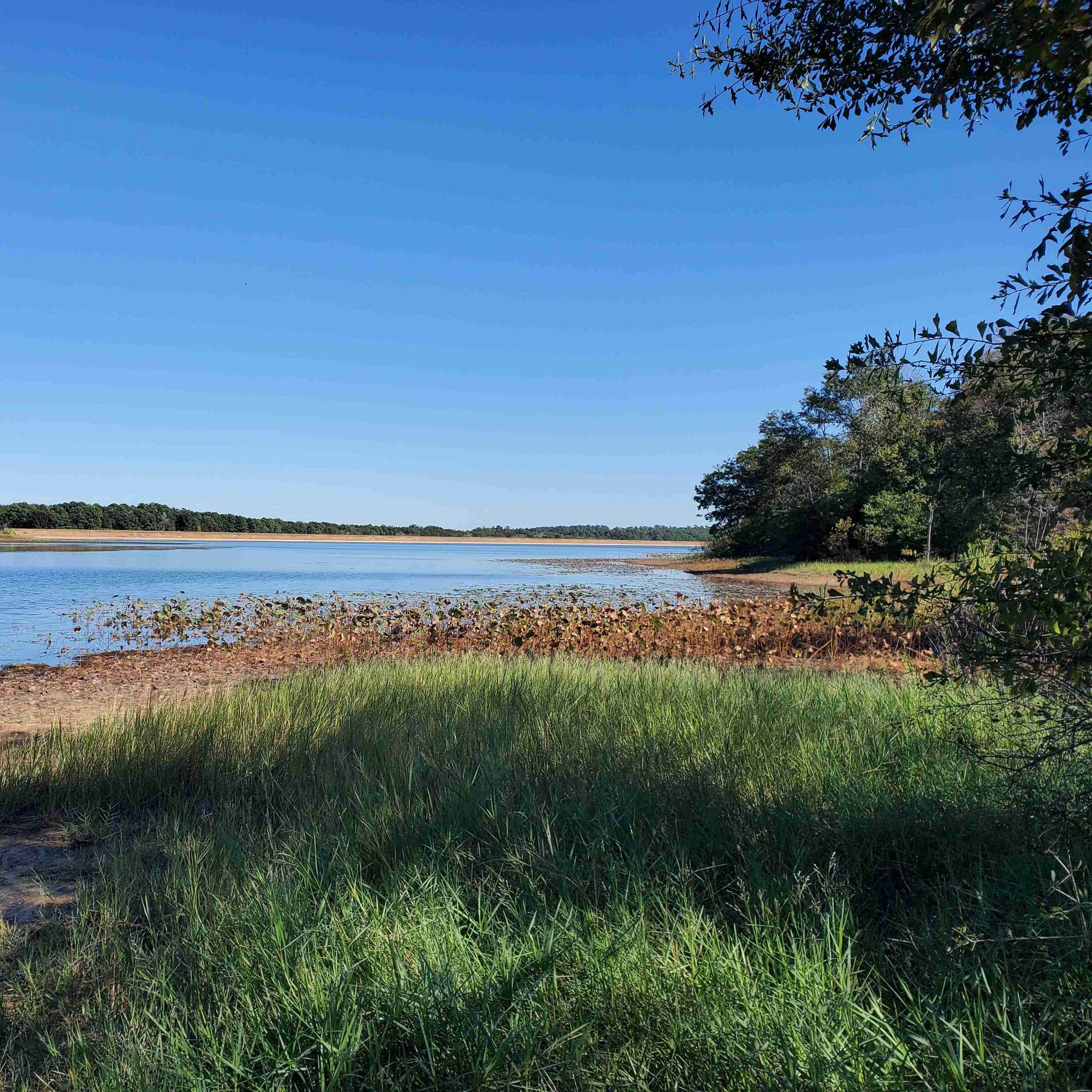 Martin Creek Lake State Park Campground | Tatum, Texas