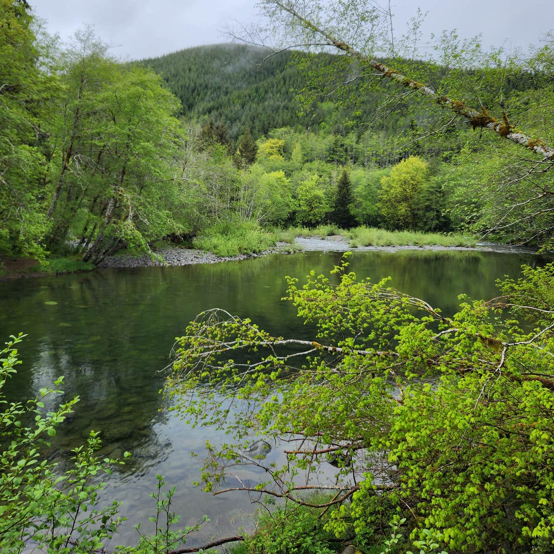 South Fork Calawah River Camping | Forks, Washington
