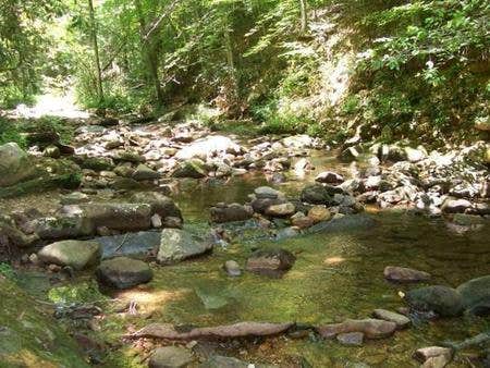 Chilhowee Recreation Area Camping | The Dyrt