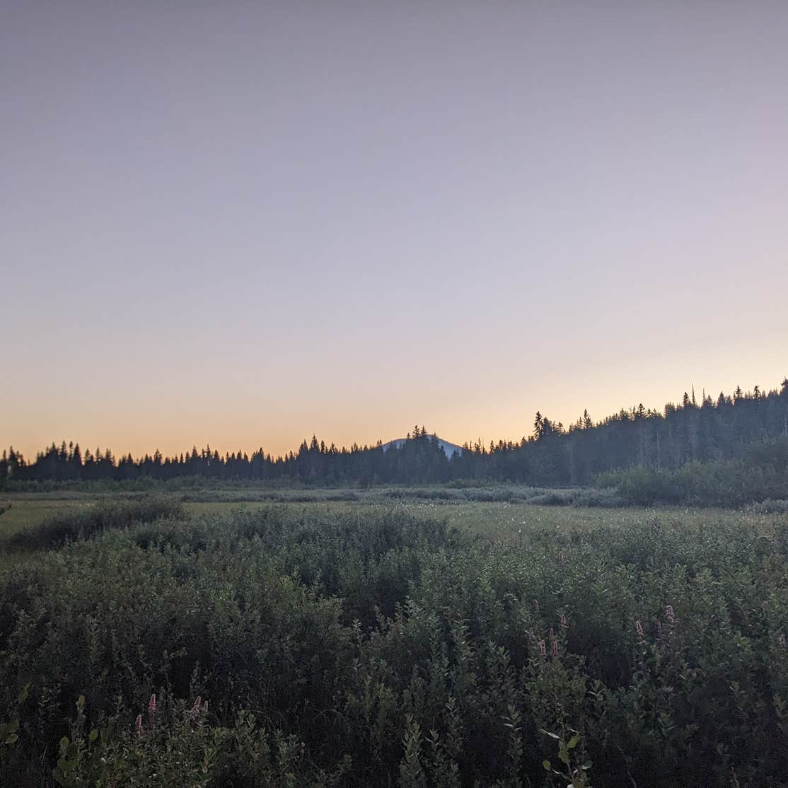 Oldman Pass Sno-Park Camping | Carson, Washington