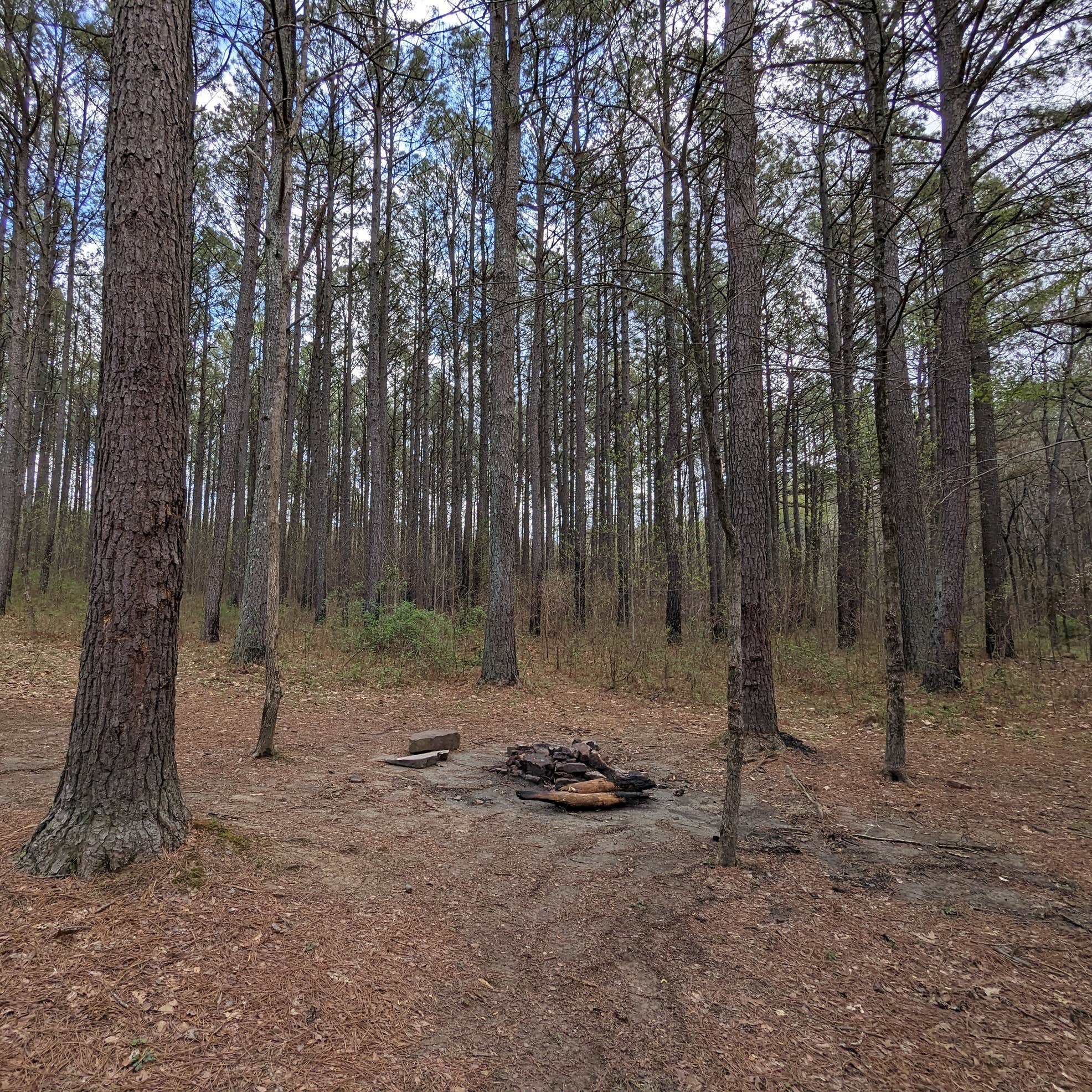 Jackson Falls Camping | Shawnee National Forest, Illinois