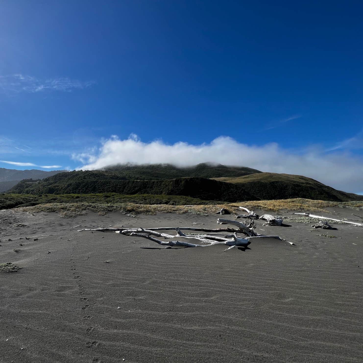 Mattole Campground | Arcata, CA