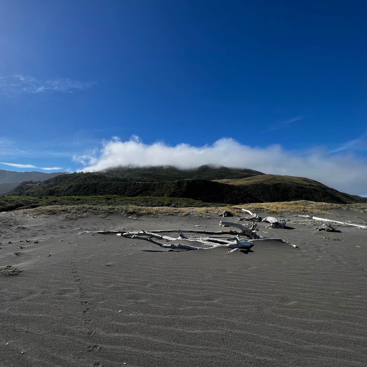 Mattole Campground | Petrolia, California