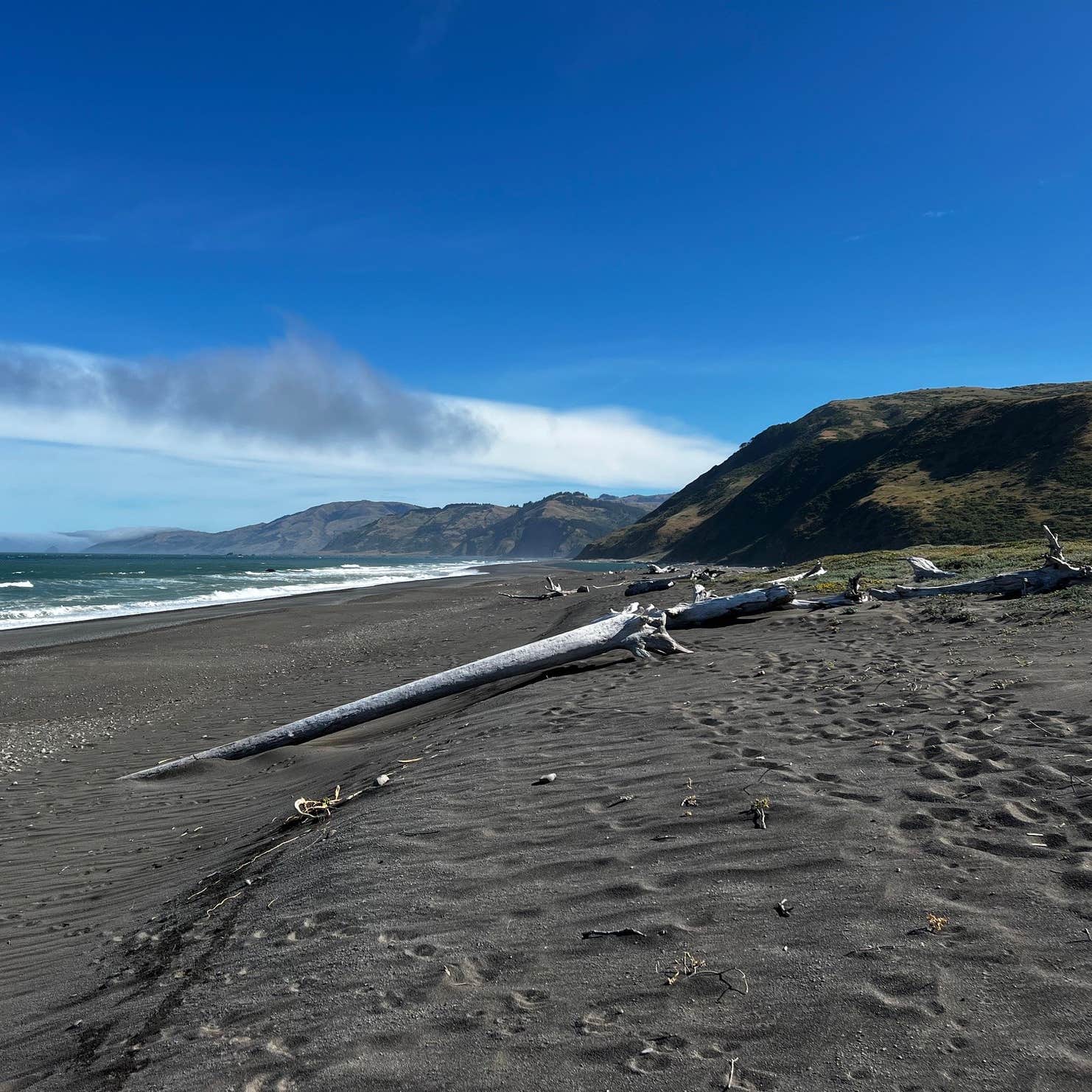 Mattole Campground | Arcata, CA