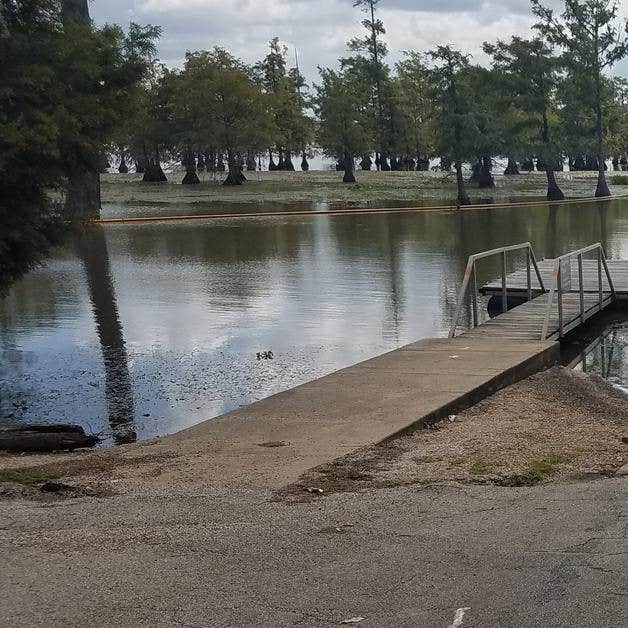 Magnolia Ridge Camping | The Dyrt