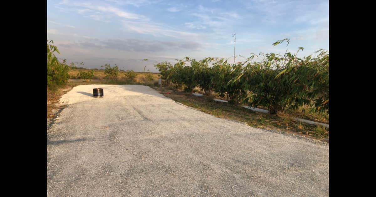 Joy Bamboo Forest Farm Camping | Sebring, Florida